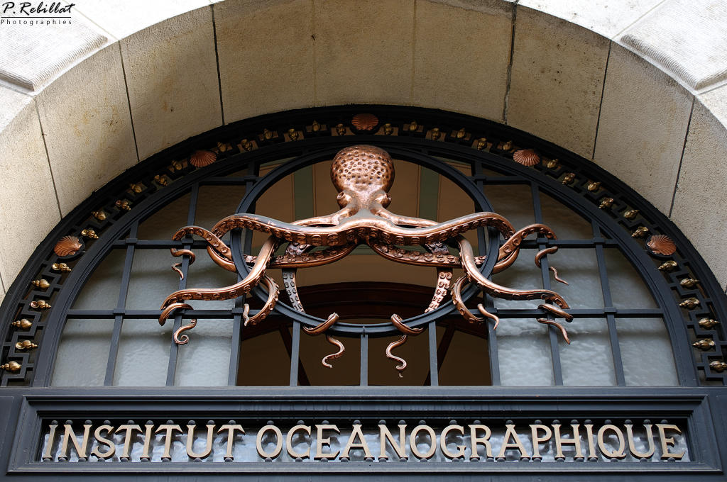 Privatisation/Location, Institut Océanographique, Paris 05e