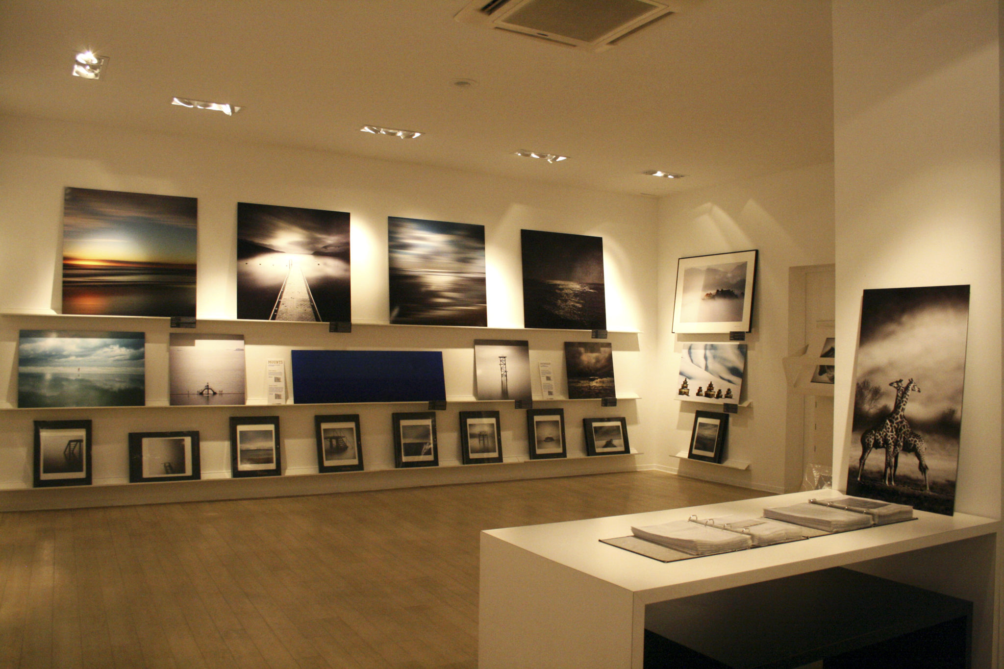 Privatisation/Location, Les Galeries Yellowkorner, Paris 03e & 04e